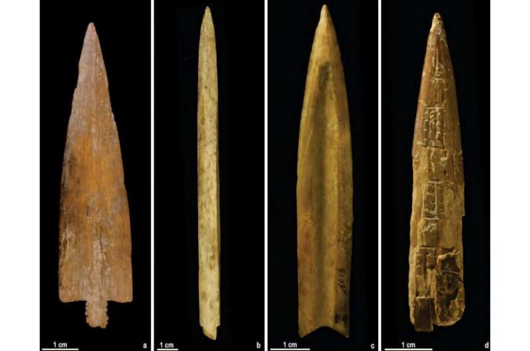 Ancient Arrow Points Reveal Craft Production in Prehistoric Argentina ...
