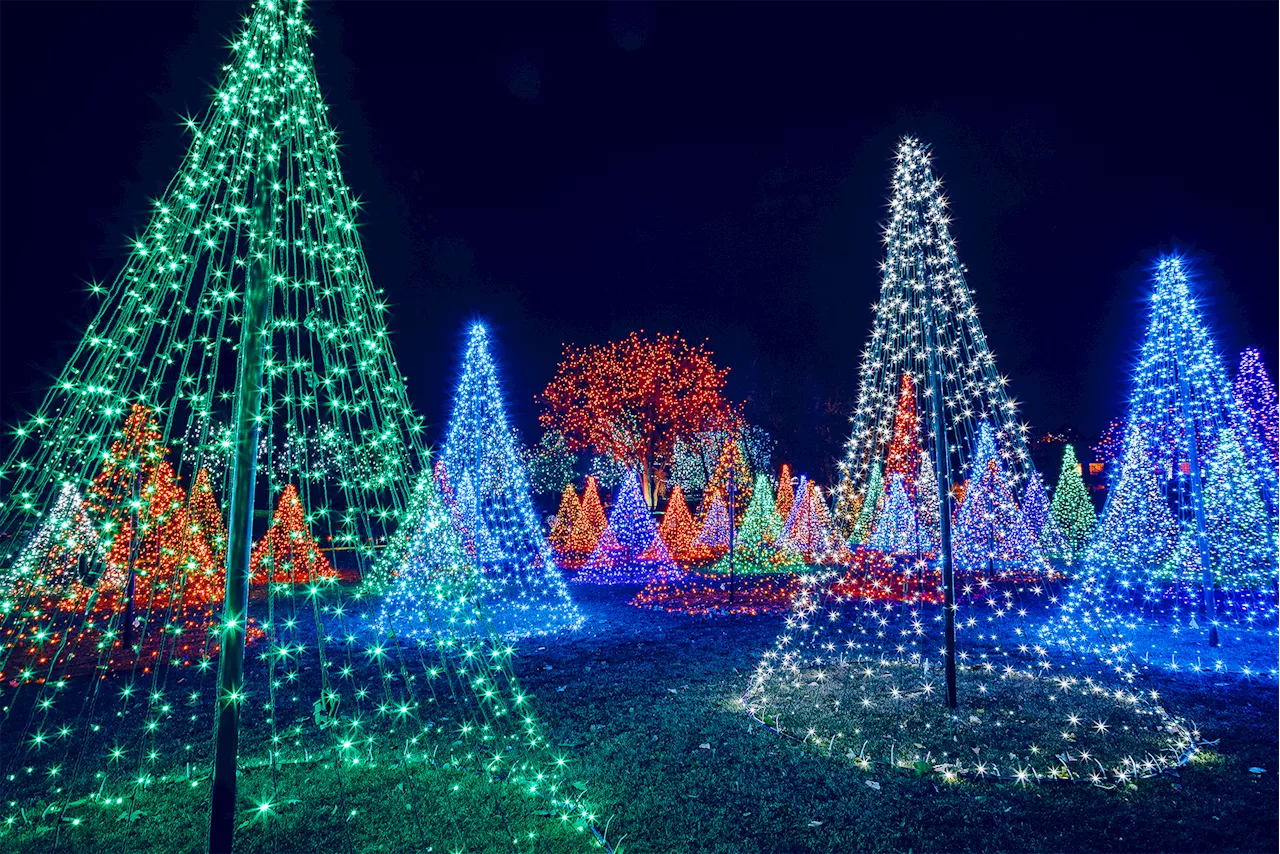 Denver Launches Spectacular Holiday Light Displays for 2025 - THENCVOICE