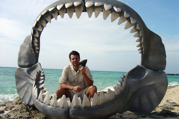 Scientists Uncover Origin of Mysterious 'Bloop' Sound Off Florida Coast ...